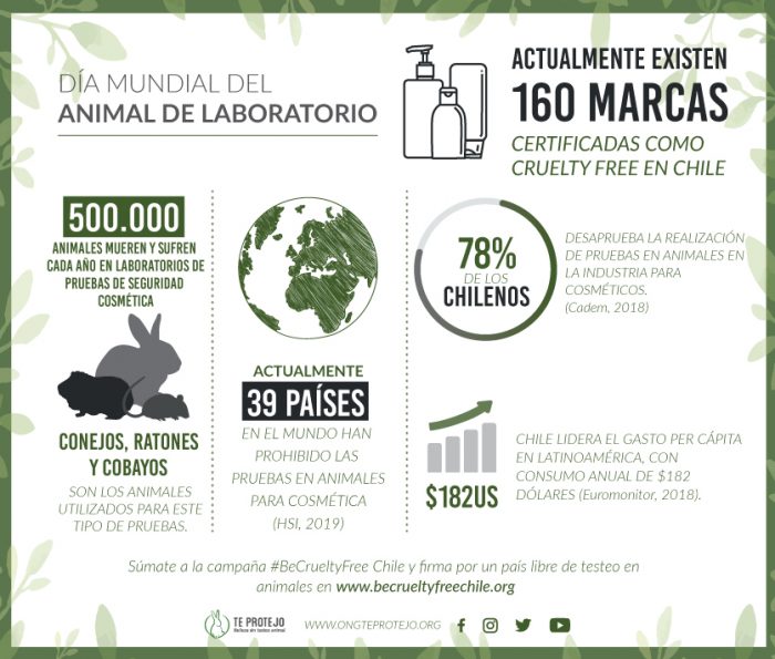 Más de 80 mil chilenos piden acabar con el testeo animal | INFOGATE